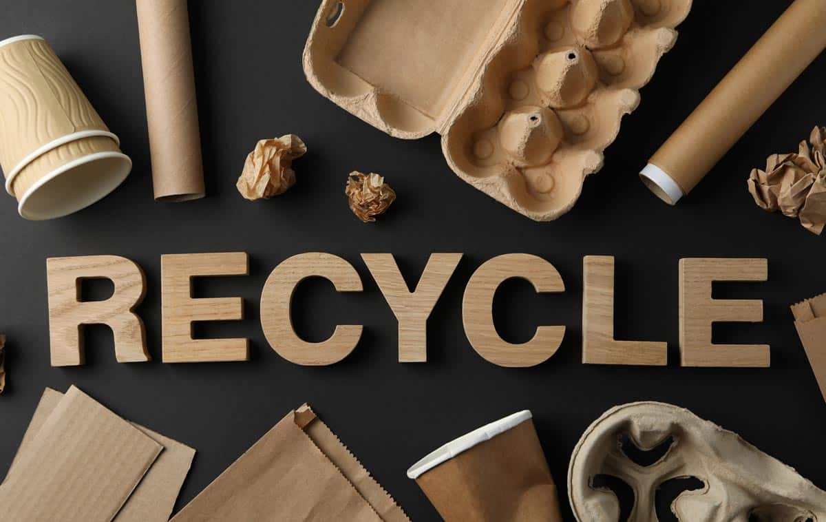 Recycled Shipping Box - BloomPack