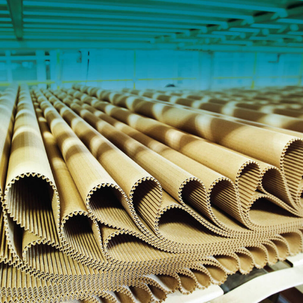 The History and Evolution of Corrugated Cartons - BloomPack