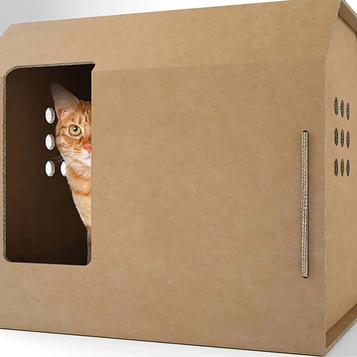 Ideas Out-of-the-BOX (Part 1) - BloomPack