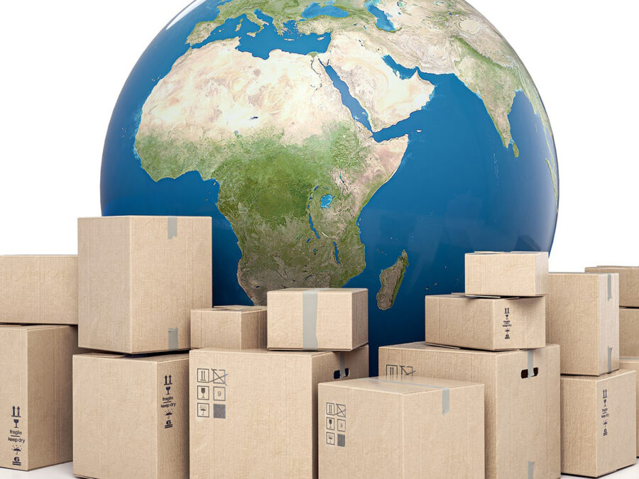 Innovating for a Greener Tomorrow - BloomPack